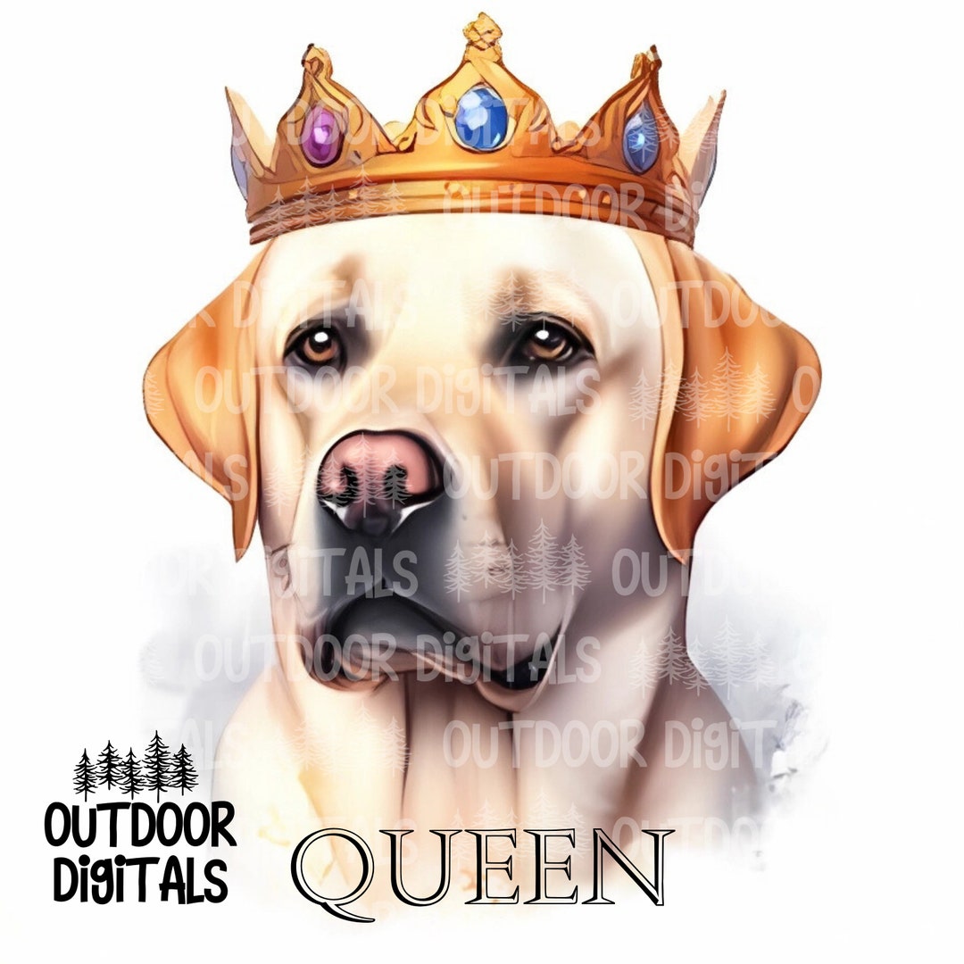 Labrador Crown PNG, Watercolor Labrador, Lab Queen, Labrador ...