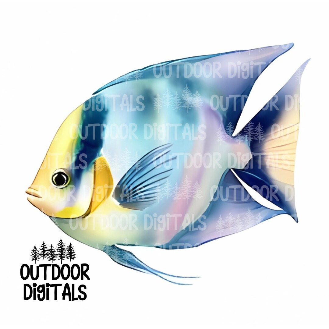 Angel Fish PNG, Watercolor Angel Fish Clipart, Angel Fish Wall ...