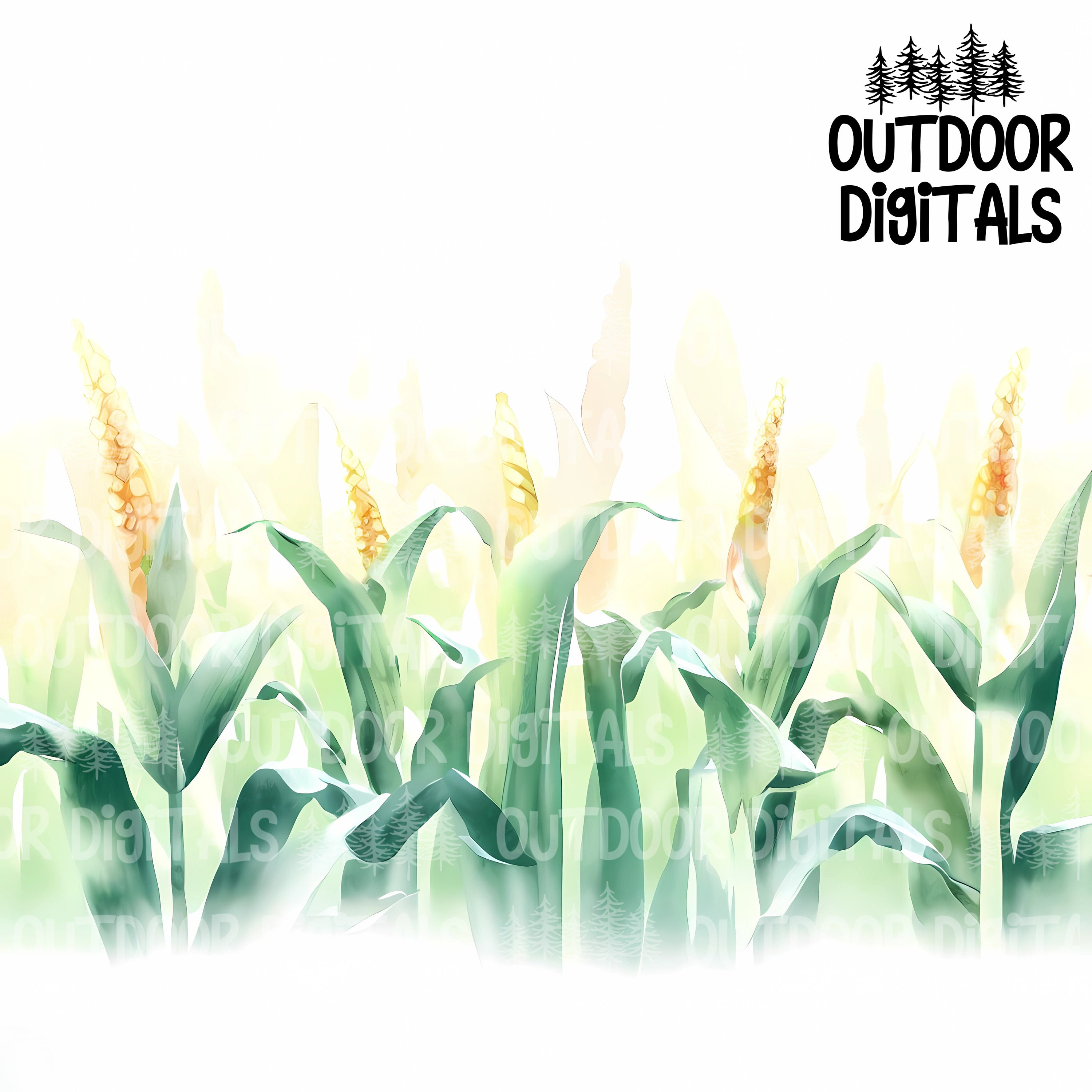 Corn Field PNG, Watercolor Corn Field Clip Art, Corn Field Art, Farm ...