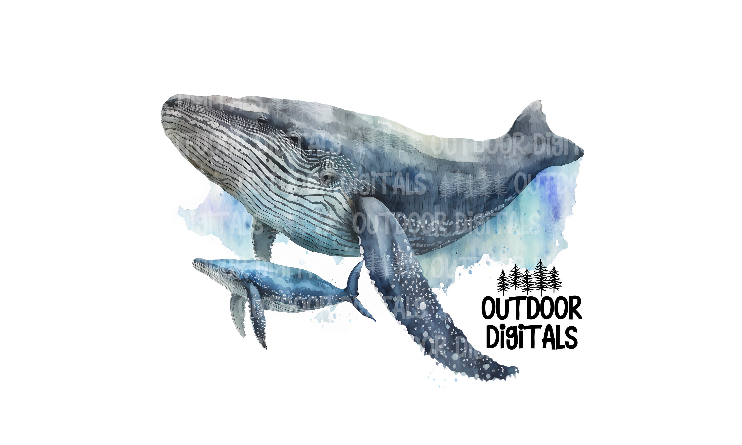 Blue Whale PNG, Watercolor Whale Clipart, Blue Whale Wall & Nursery Art ...