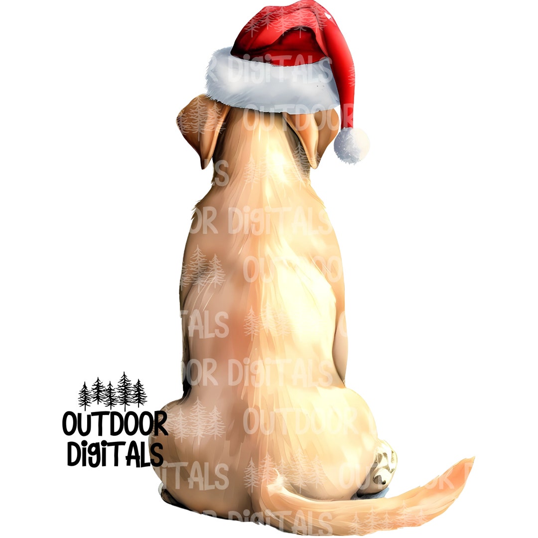 Yellow Lab PNG, Watercolor Lab PNG, Christmas Yellow Lab Art, Yellow ...