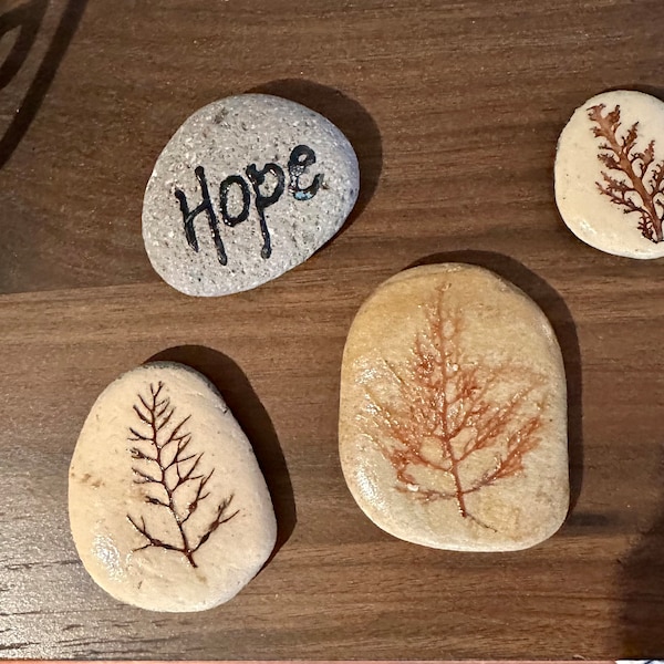 Painted Rocks on Real Rocks - Etsy