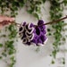 Crochet Ruffled Earrings Crochet Hoop Earrings Statement Hoops Unique ...