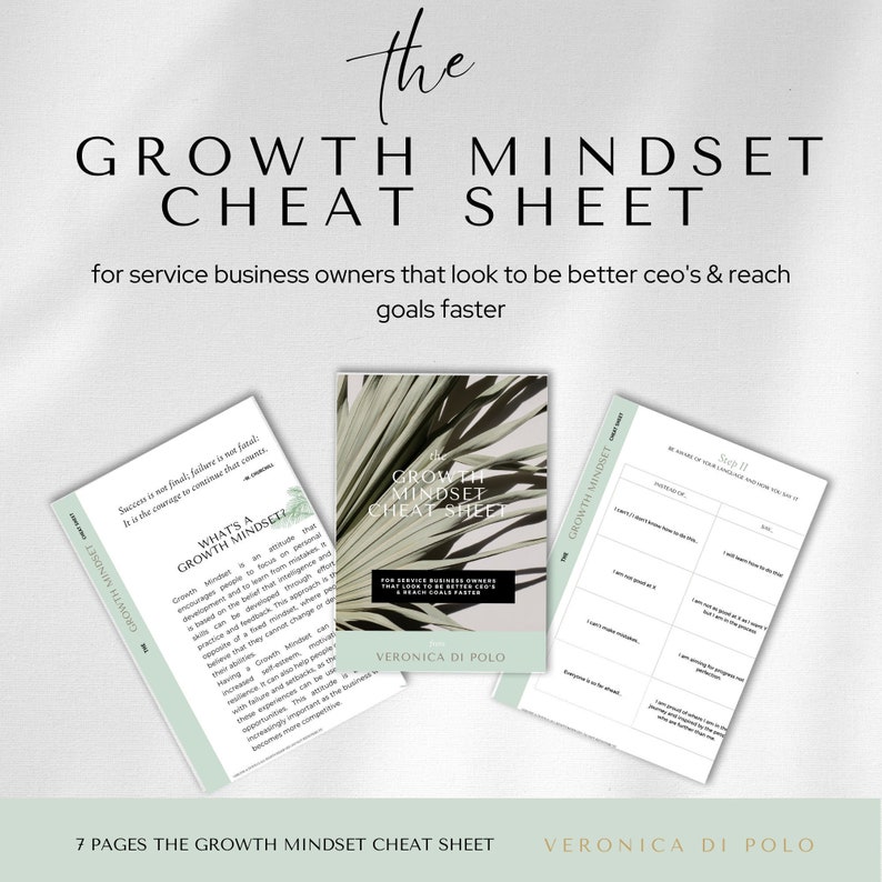 Growth Mindset Worksheet for Coaches & Entrepreneurs 2023 Business ...