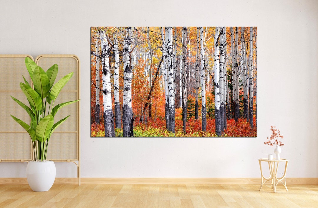 Aspen Tree Wall Art, Autumn Wall Art, Forest Landscape, Nature ...