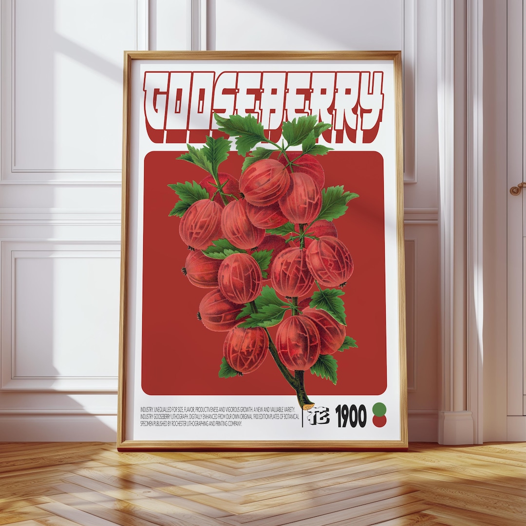 Gooseberry Botanical Specimen Digital Poster, Original Wall Print ...