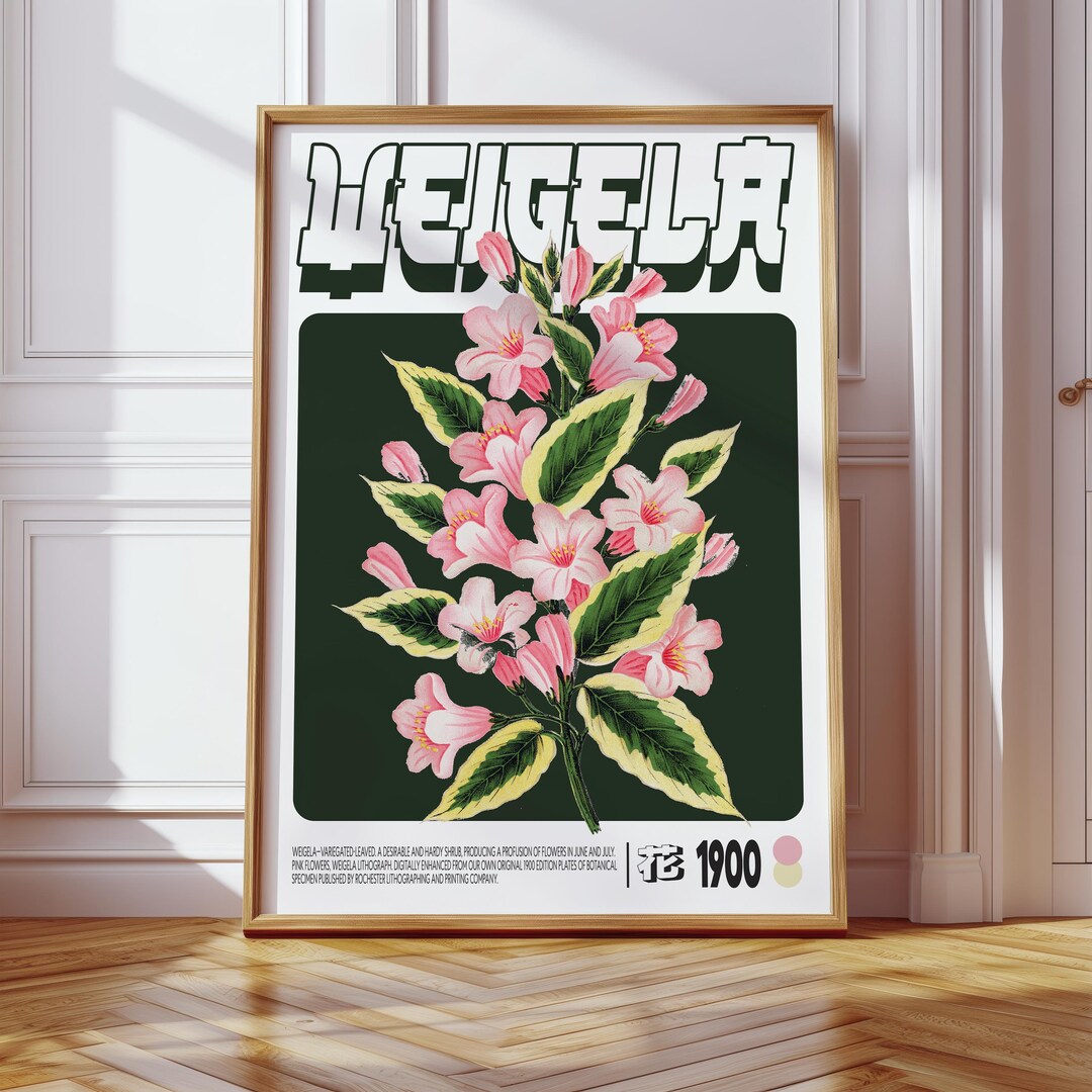 Weigela Tree Botanical Digital Poster, Original Wall Print, Modern Art ...