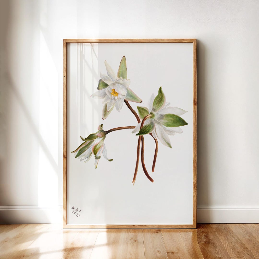 Water Lilies Castalia Odorata – Vintage Botanical Watercolor by Mary ...