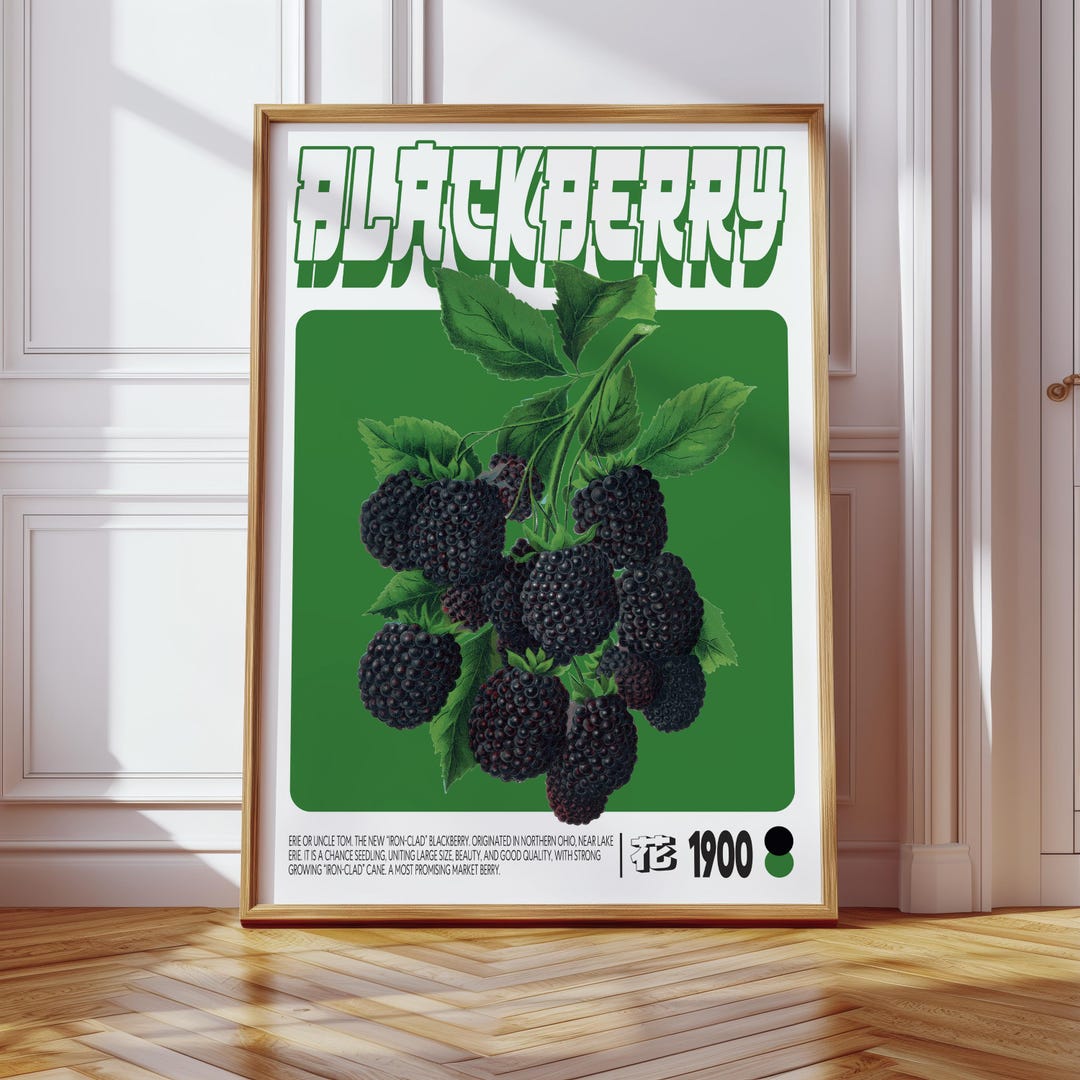 Blackberry Botanical Specimen Poster, Original Wall Print, Modern Art ...