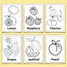 Printable Fruits Coloring Book Worksheets, Preschool Printables for ...
