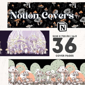 Notion Page Covers for Personal Dashboards Aesthetic Notion Covers ...