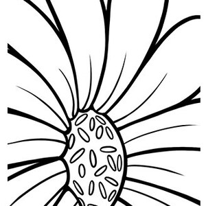 Artists Palette,colouring in Page,downloadable,digital File/print/hand ...