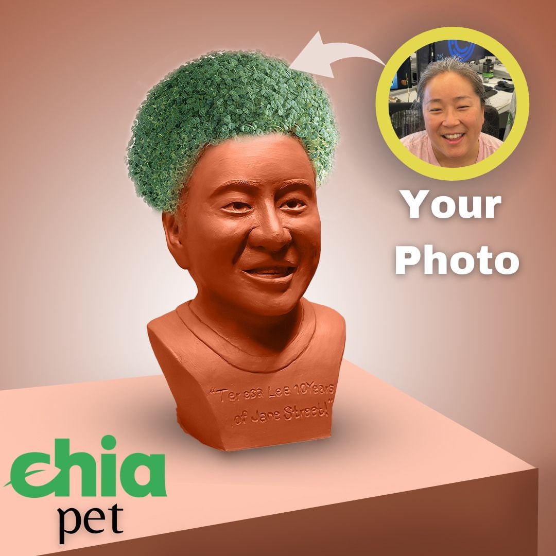 Custom Chia Pet, Personalized Terracotta Face Sculpture, Hand Made Face Sculpture, Chia Pet ...