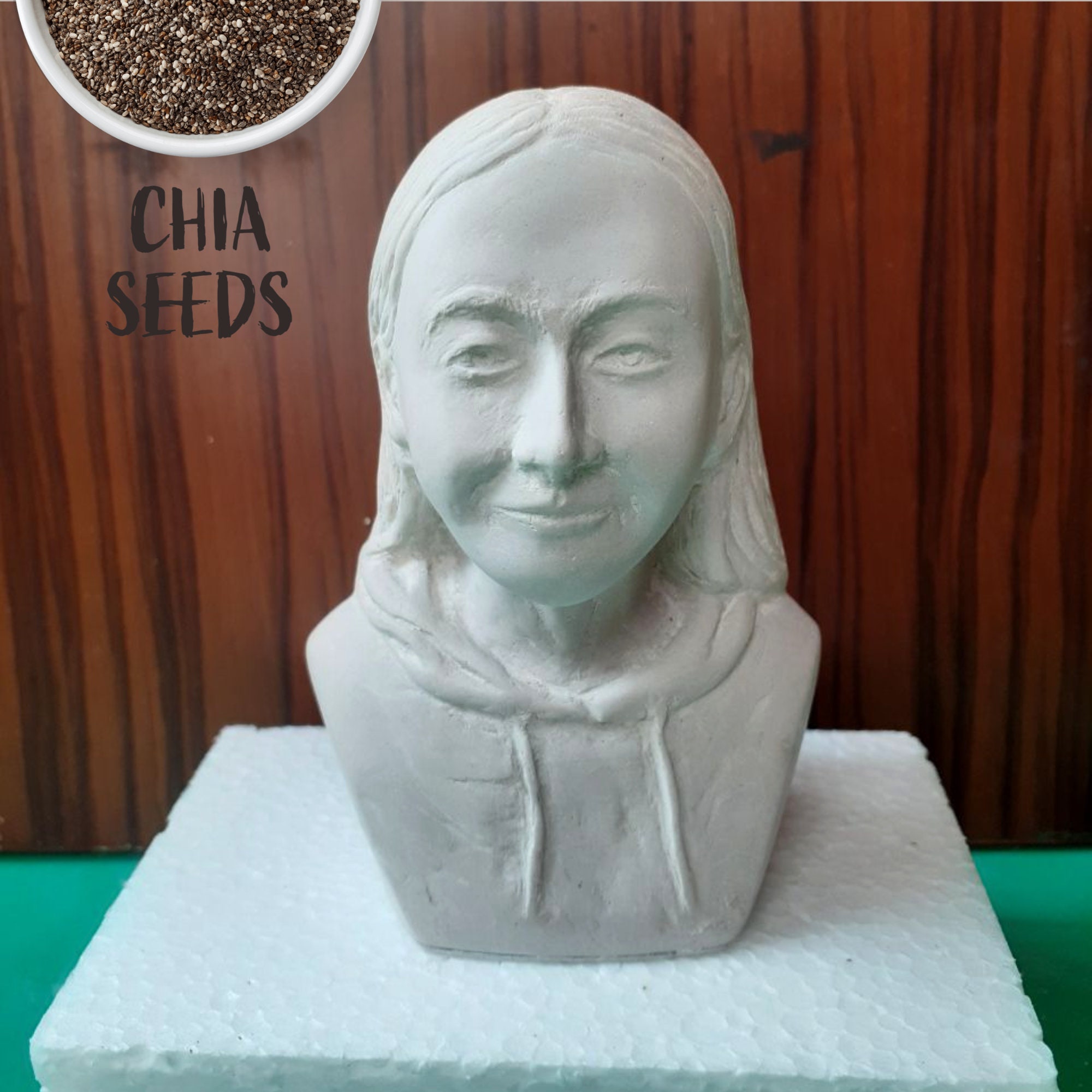 Custom Face Sculpture for Chia Pet, Terracotta Face Sculpture, Hand ...