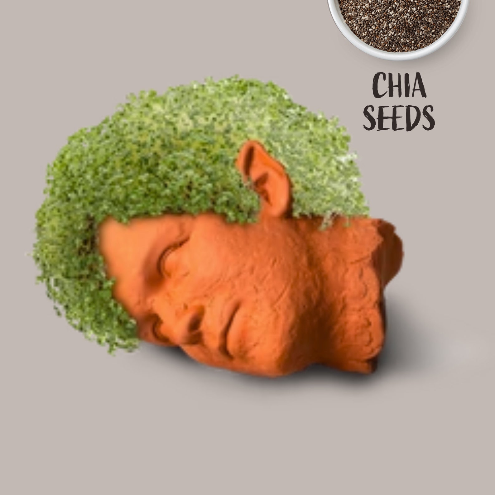Custom Face Sculpture For Chia Pet Terracotta Face Sculpture Hand