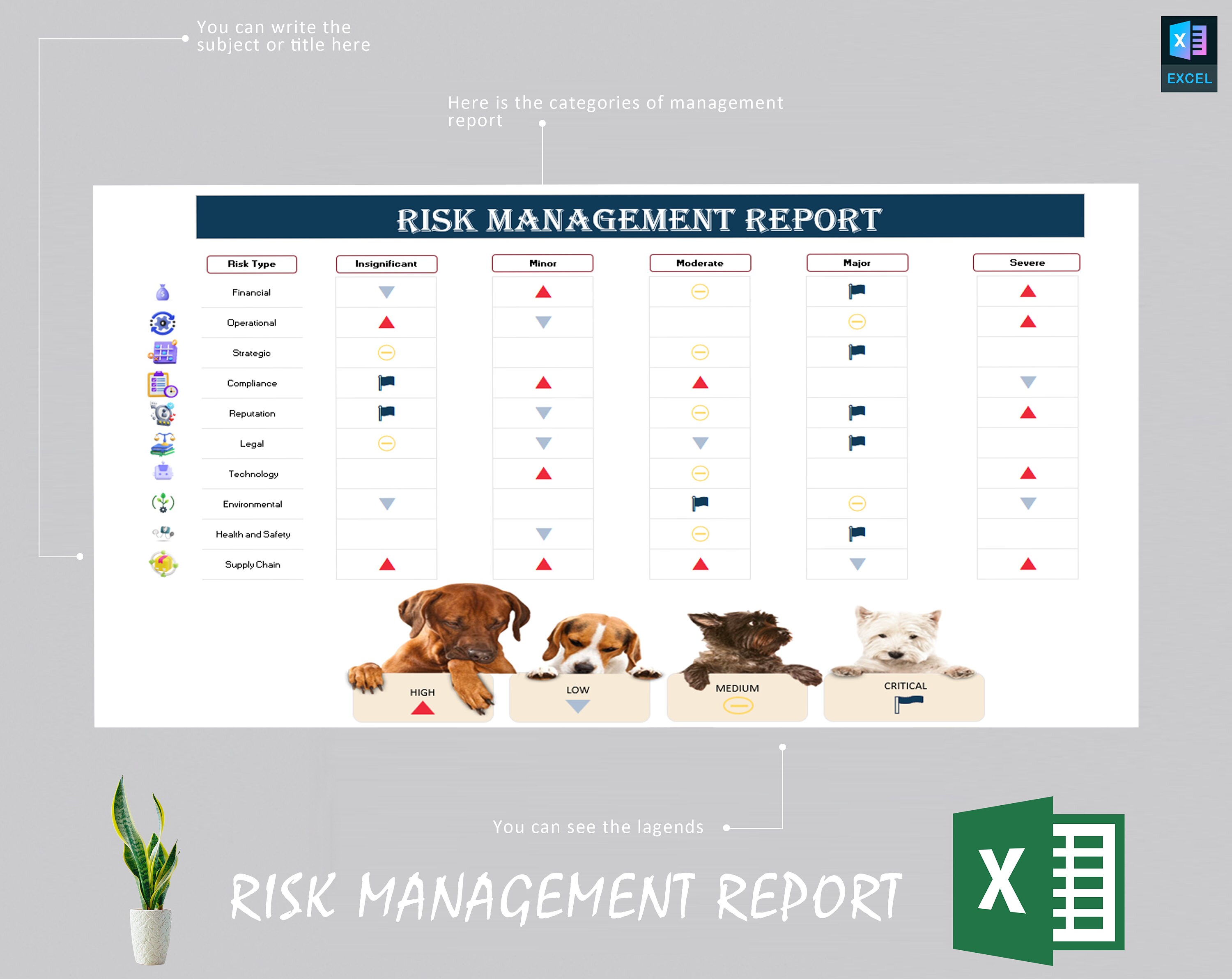 Risk Management Report | Risk Matrix | Business Risk Assessment | Risk ...