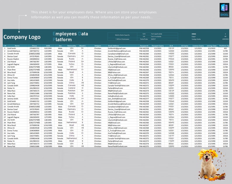 HR Dashboard Human Resources Dashboard Human Resource Microsoft Excel ...