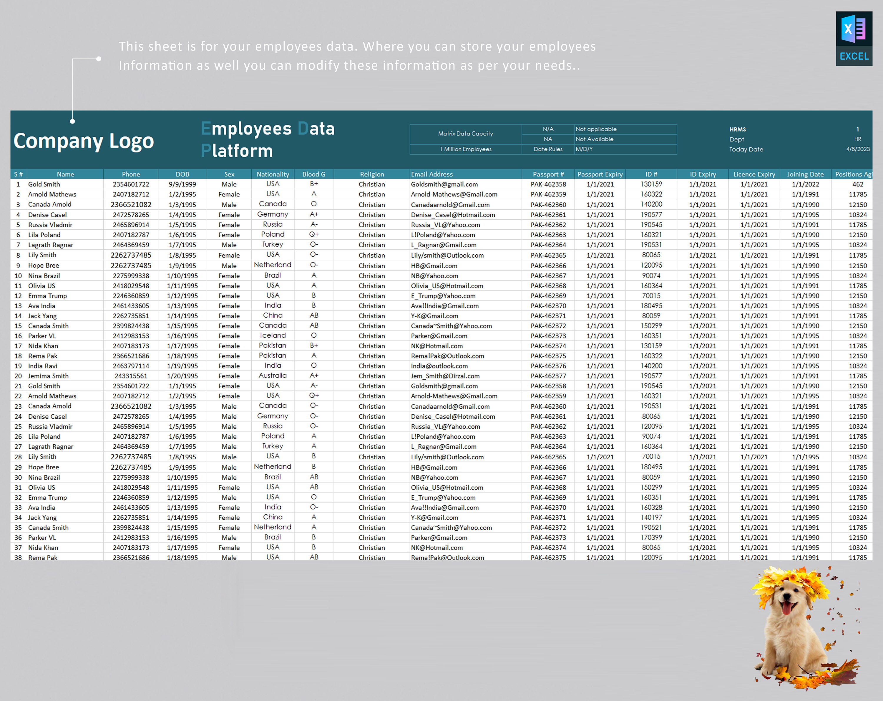 HR Dashboard Human Resources Dashboard Human Resource Microsoft Excel ...