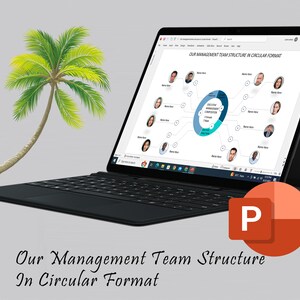 Management Team Structure in Circular Chart | Organization Chart ...