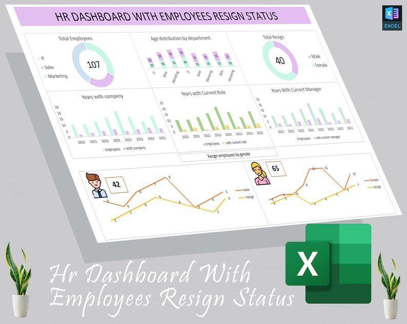 HR Dashboard With Employees Resign Status | Human Resource Microsoft ...
