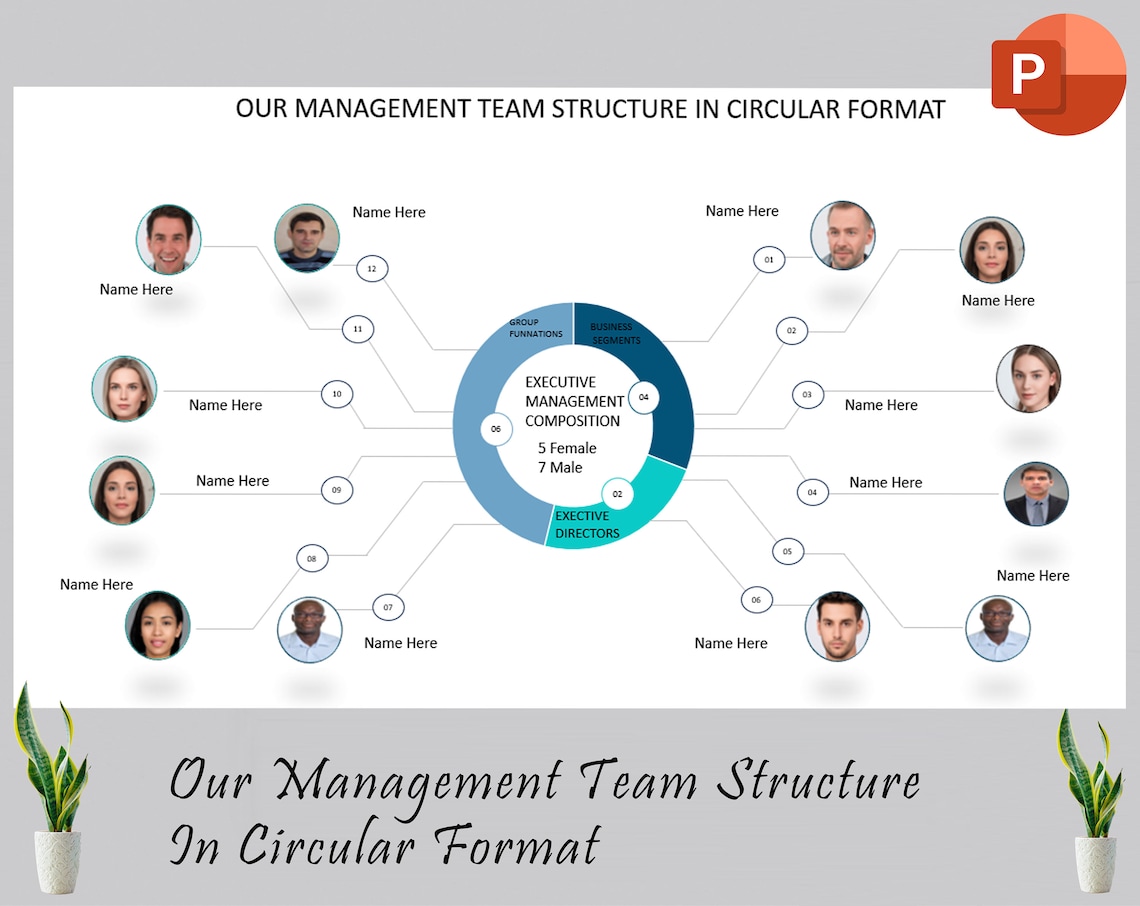 Management Team Structure in Circular Chart | Organization Chart ...