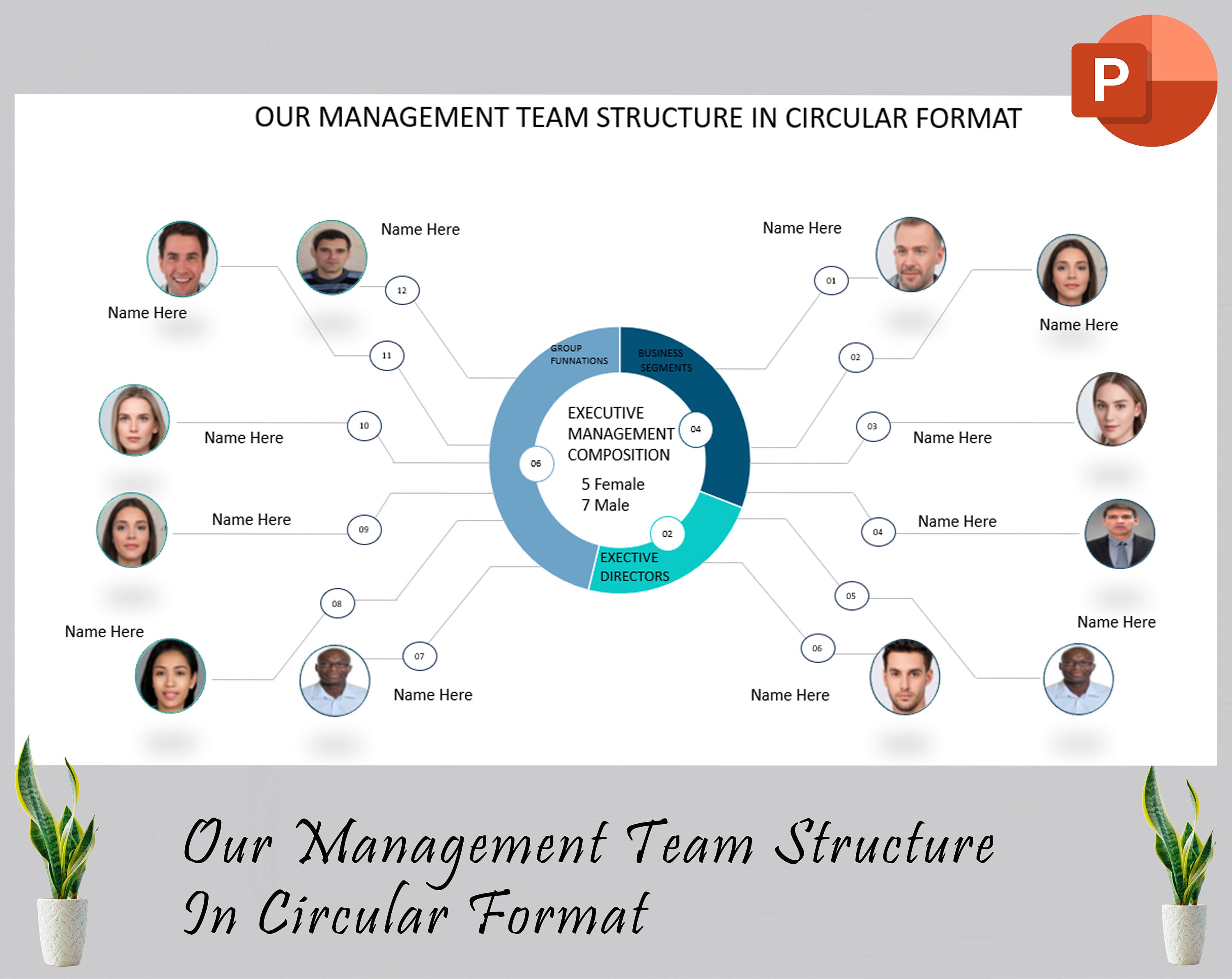 Management Team Structure in Circular Chart | Organization Chart ...