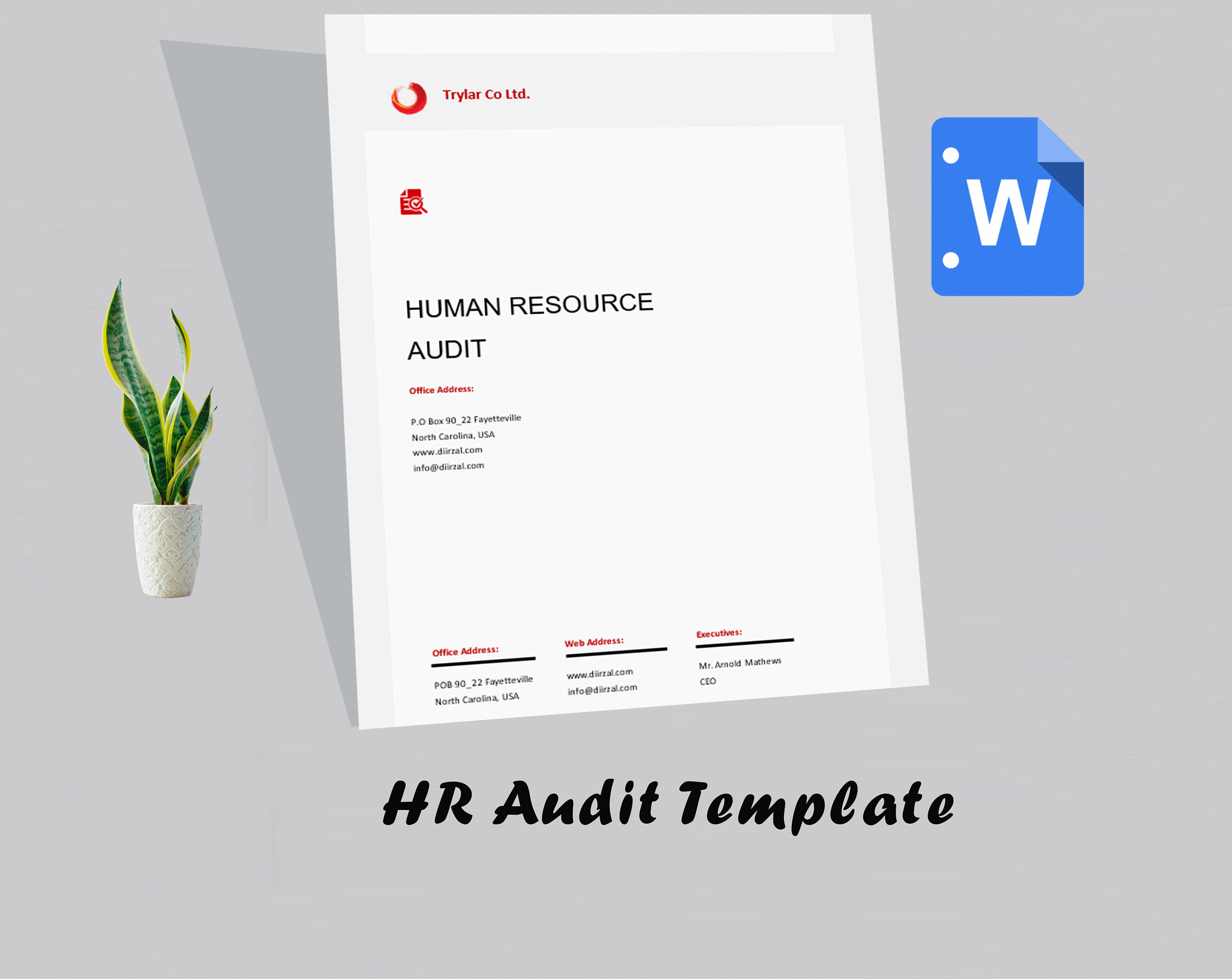 HR Audit Template | HR Audit Checklist | Human Resources Audit | Human ...