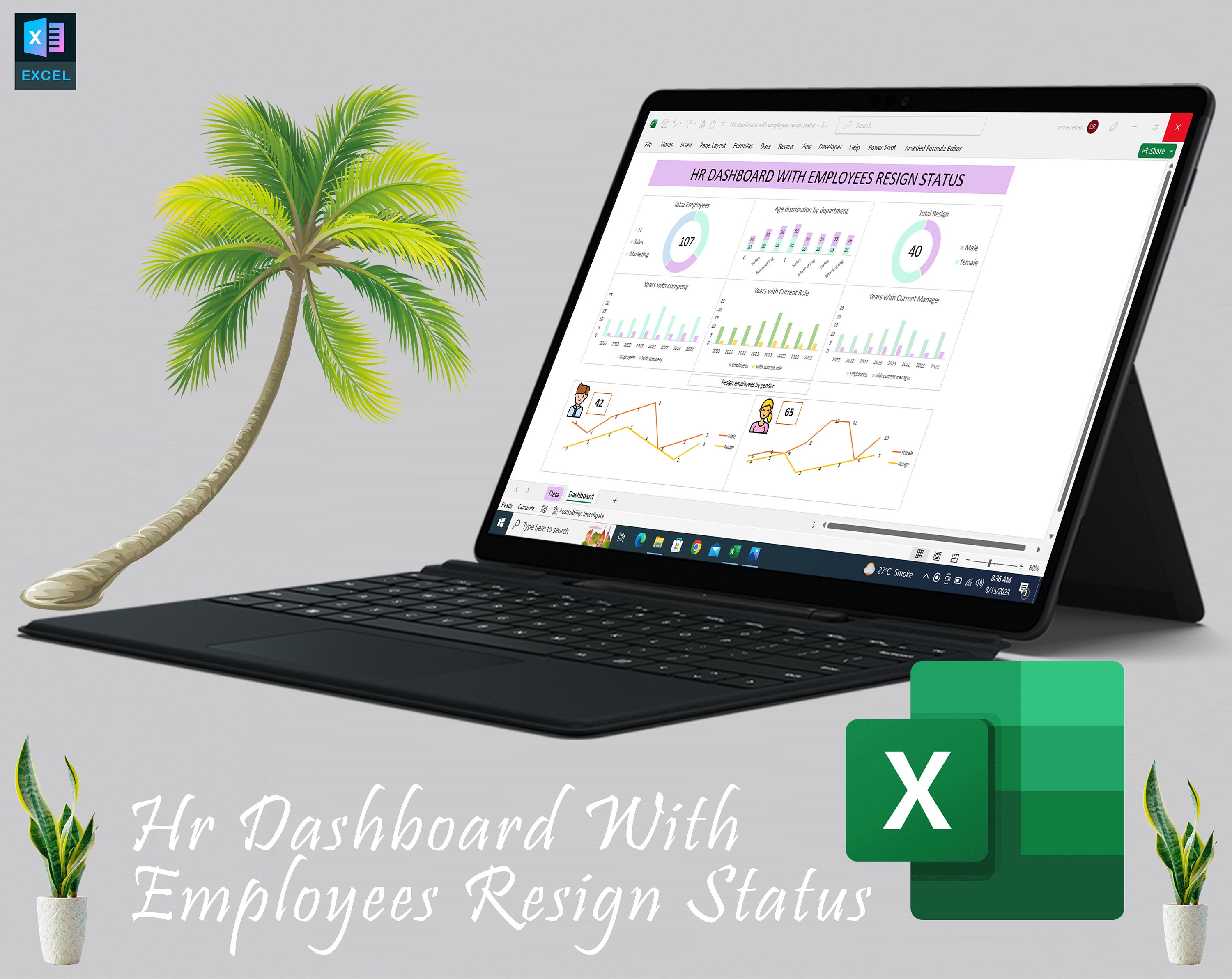 HR Dashboard With Employees Resign Status Human Resource Microsoft ...