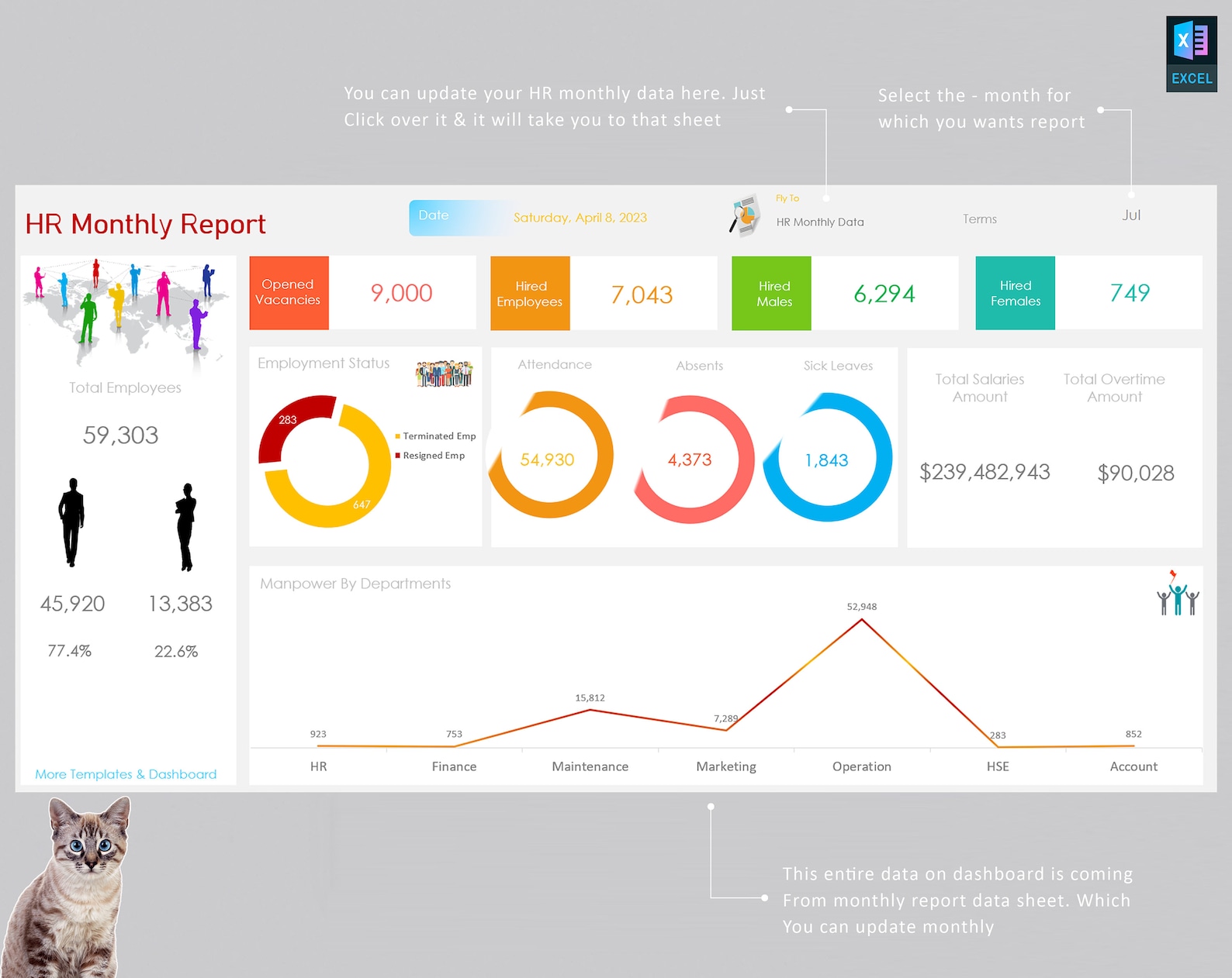 HR Monthly Report Dashboard | Human Resources Dashboard | HR Microsoft ...