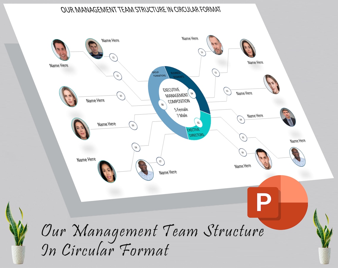 Management Team Structure in Circular Chart | Organization Chart ...