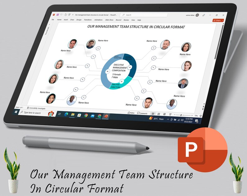 Management Team Structure in Circular Chart | Organization Chart ...