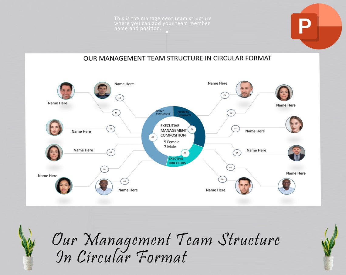 Management Team Structure in Circular Chart | Organization Chart ...