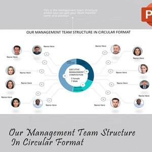 Management Team Structure in Circular Chart | Organization Chart ...