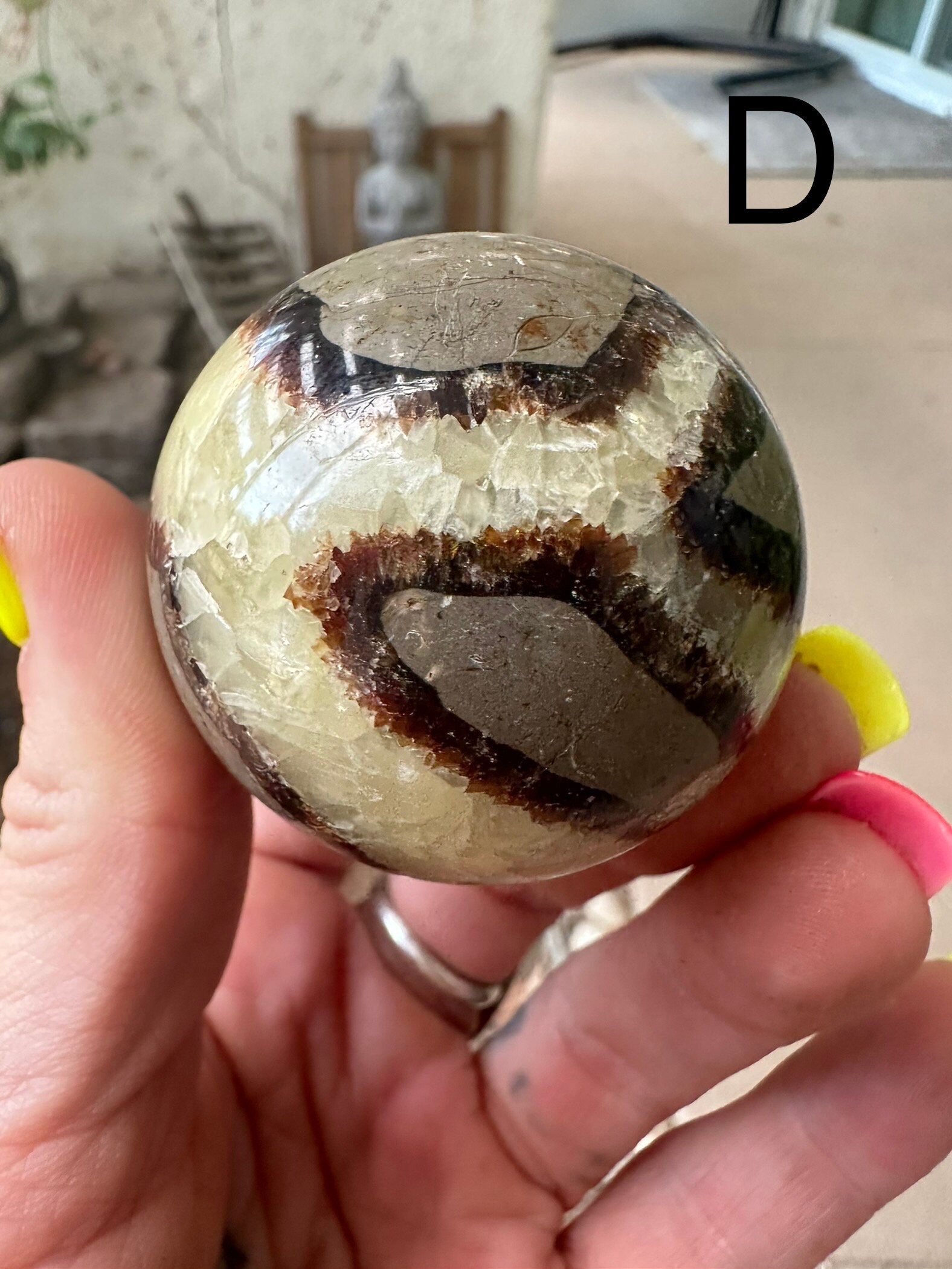 Beautiful Septarian Spheres - Etsy