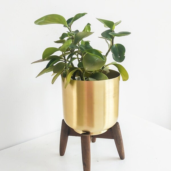 Iron Planter - Etsy