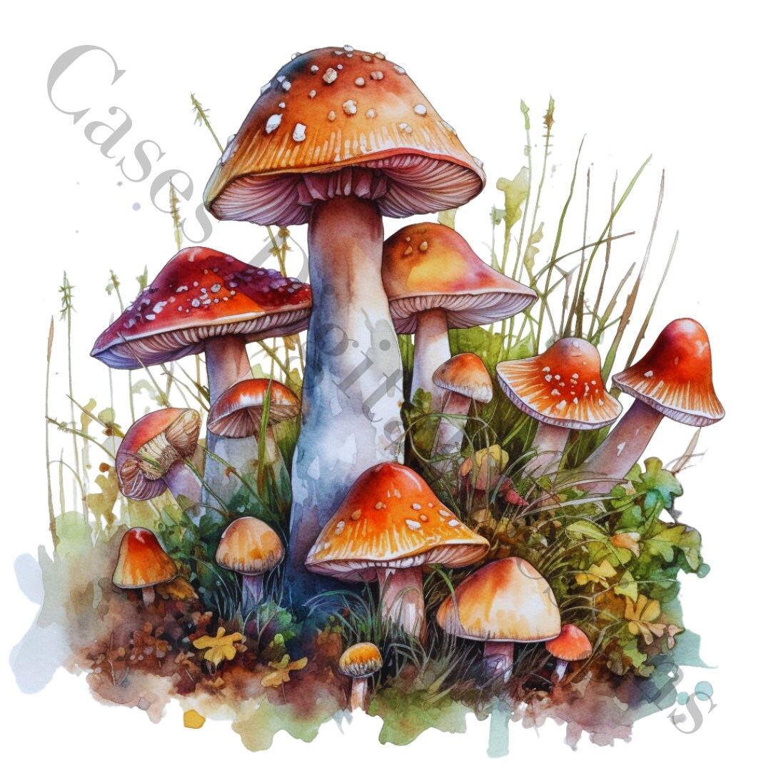 Watercolor Mushrooms Clipart, Cute Forest Nature Toadstool Clipart PNG ...
