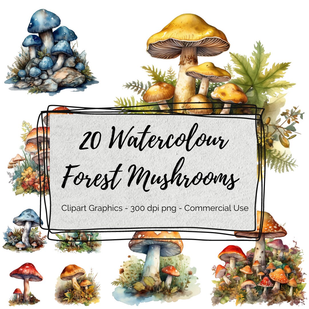 Watercolor Mushrooms Clipart, Cute Forest Nature Toadstool Clipart PNG ...