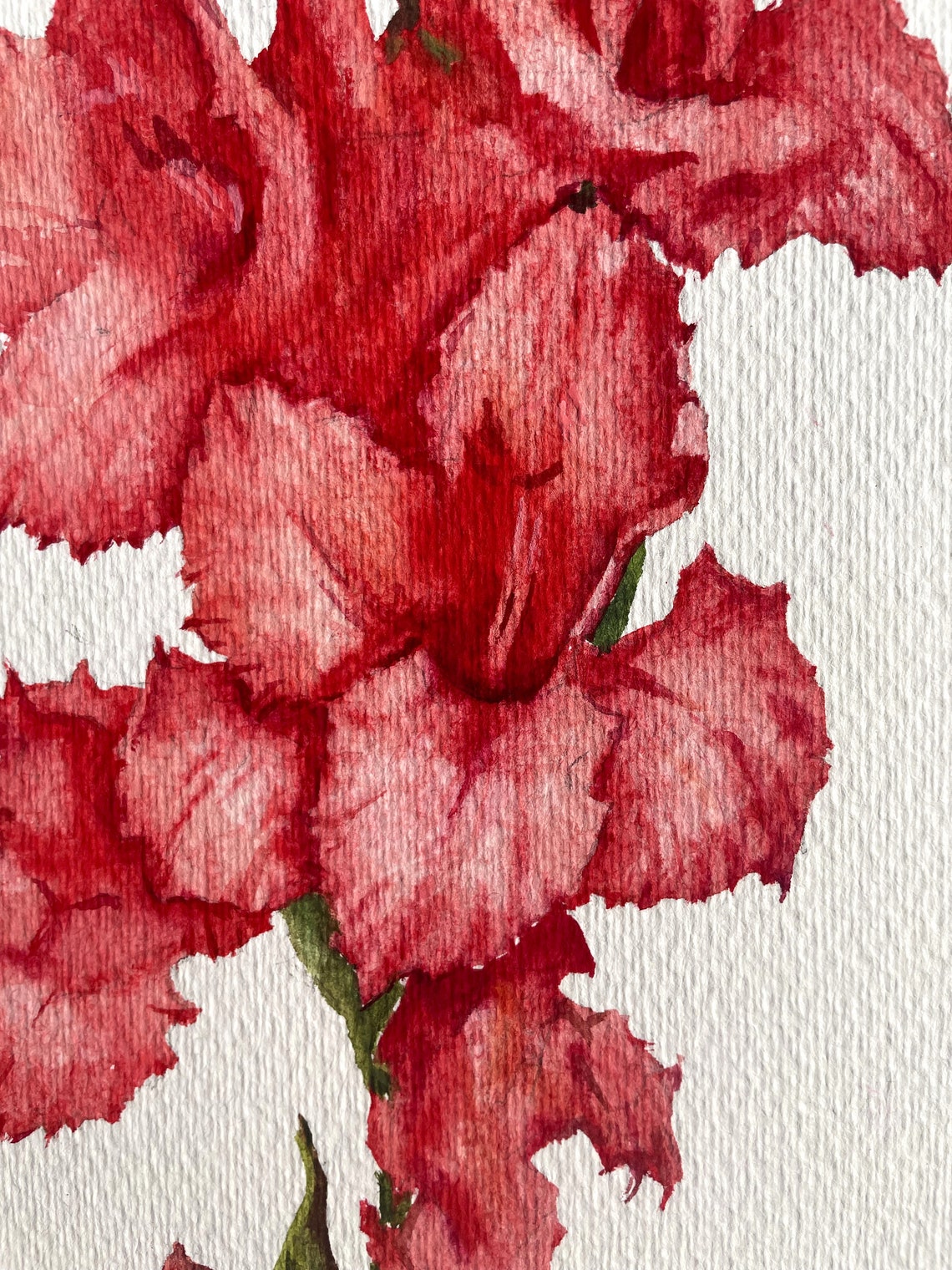 Original Gladiolus Watercolor Painting, Botanical Illustration ...