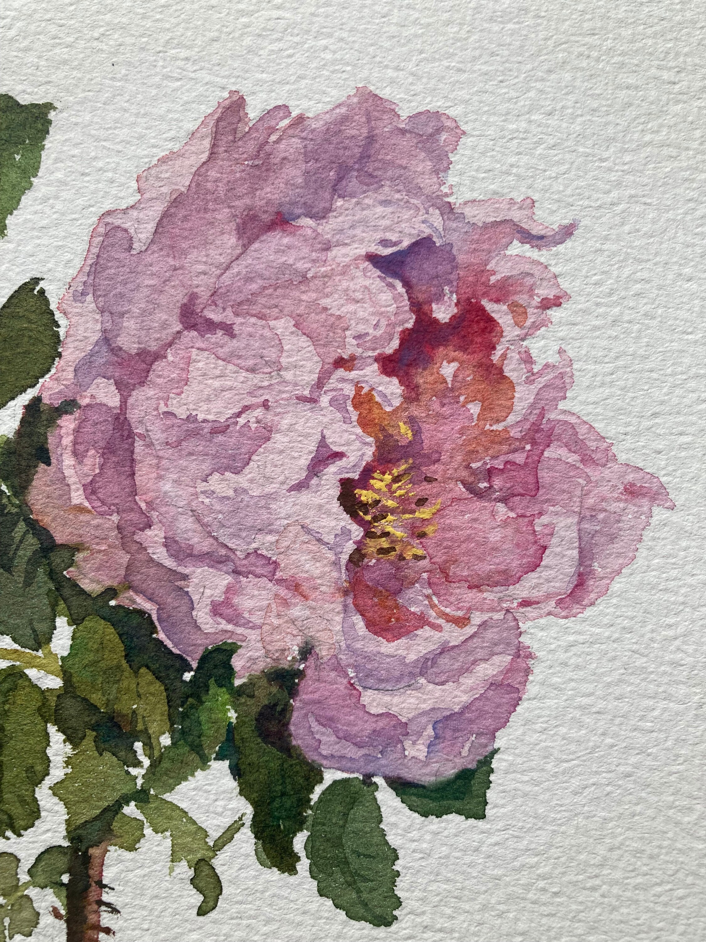 Watercolor Original Painting Aquarelle Floral Art Picture Vintage Rose ...