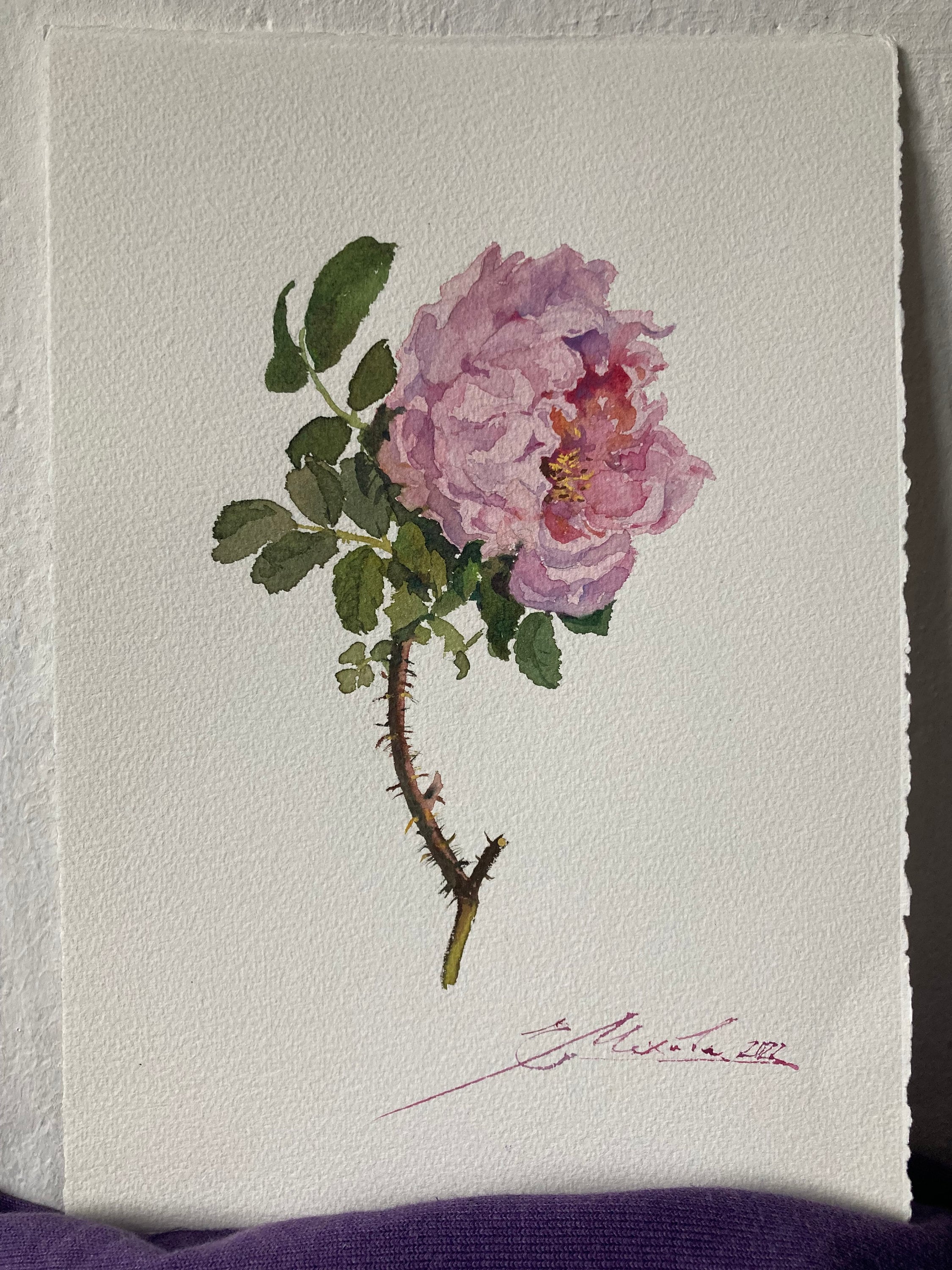 Watercolor Original Painting Aquarelle Floral Art Picture Vintage Rose ...