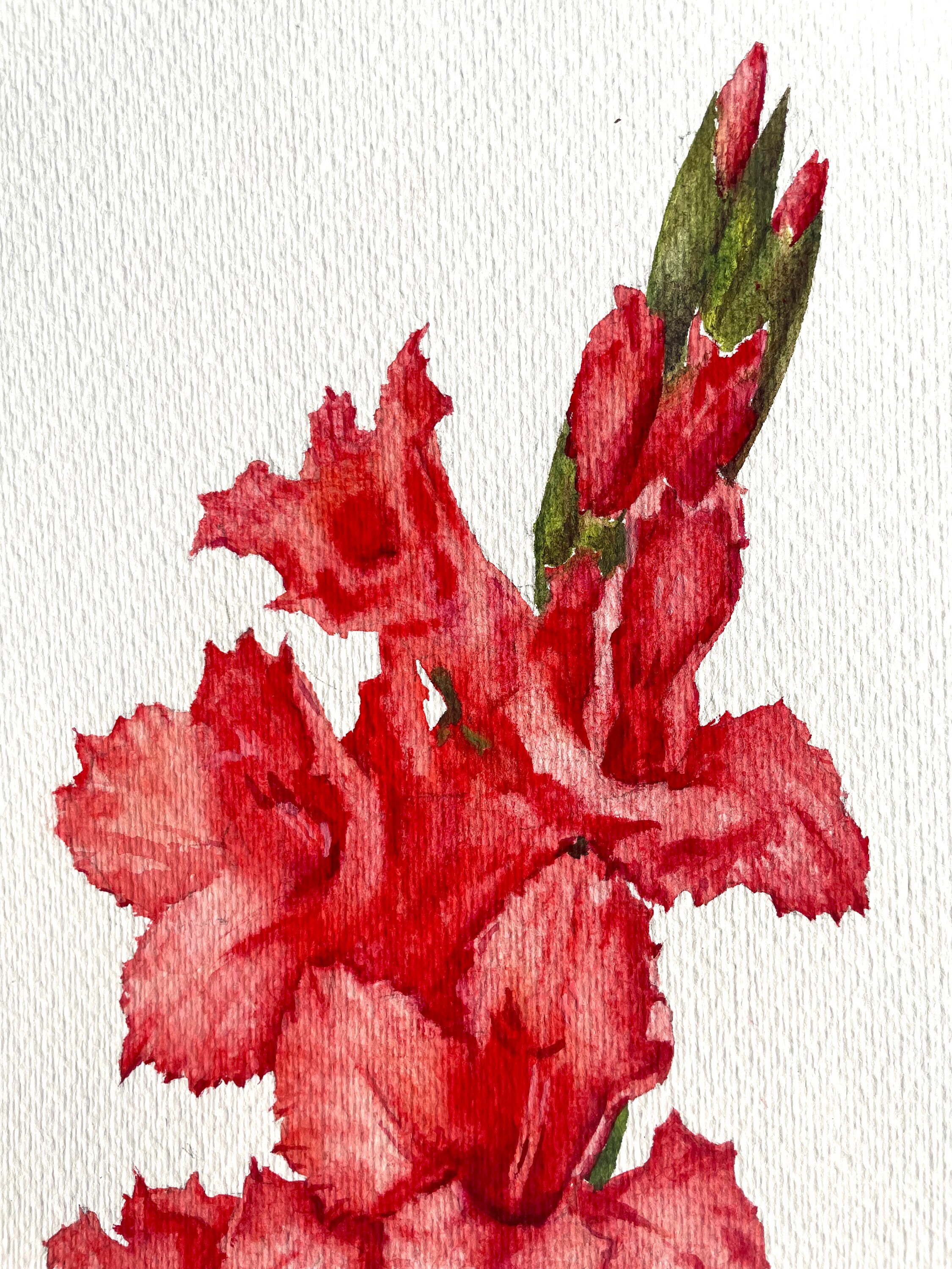 Original Gladiolus Watercolor Painting, Botanical Illustration ...