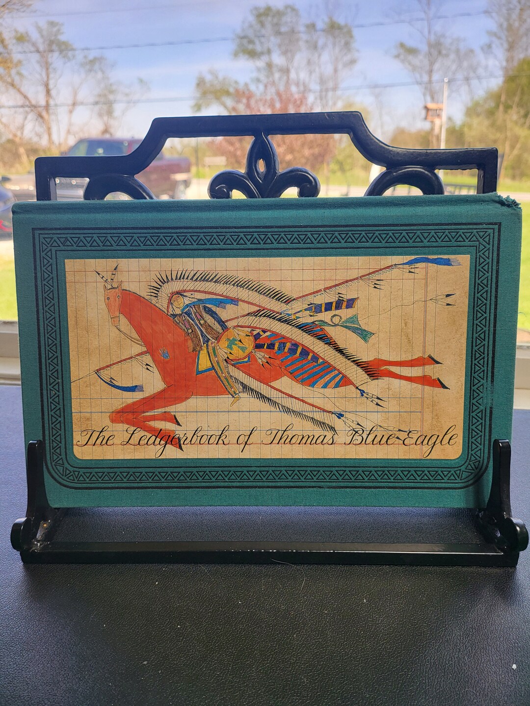 The Ledgerbook of Thomas Blue Eagle, by Gay Matthaei, Illus. Adam Cvijanovic 1994 First Edition ...