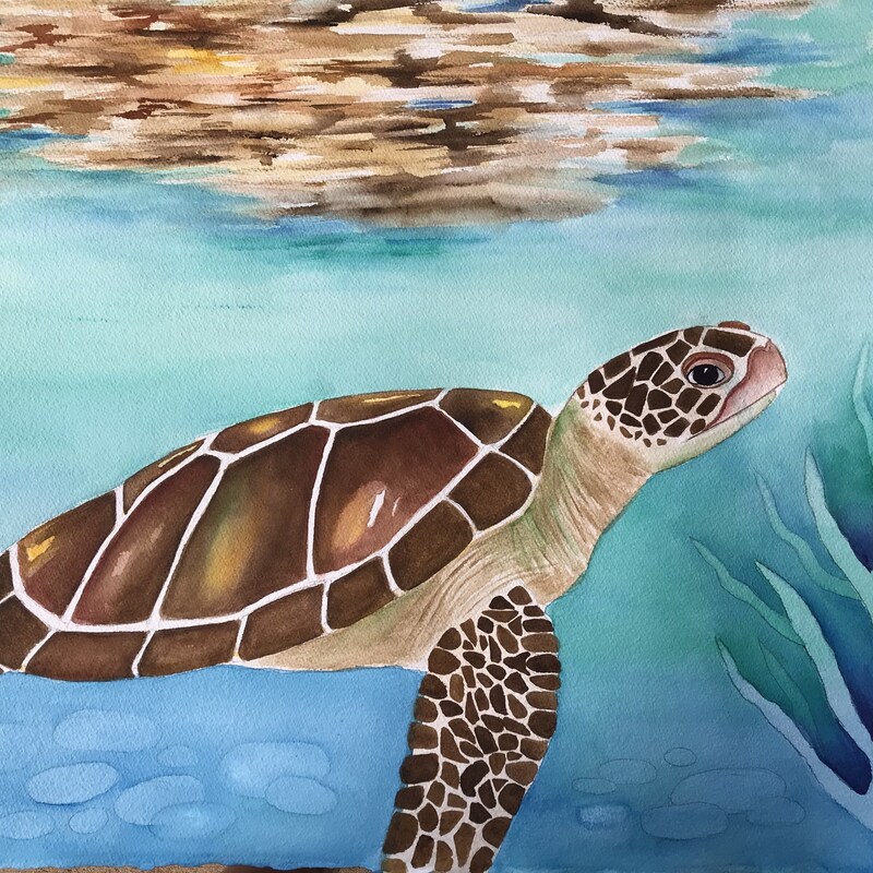 Honu Painting - Etsy