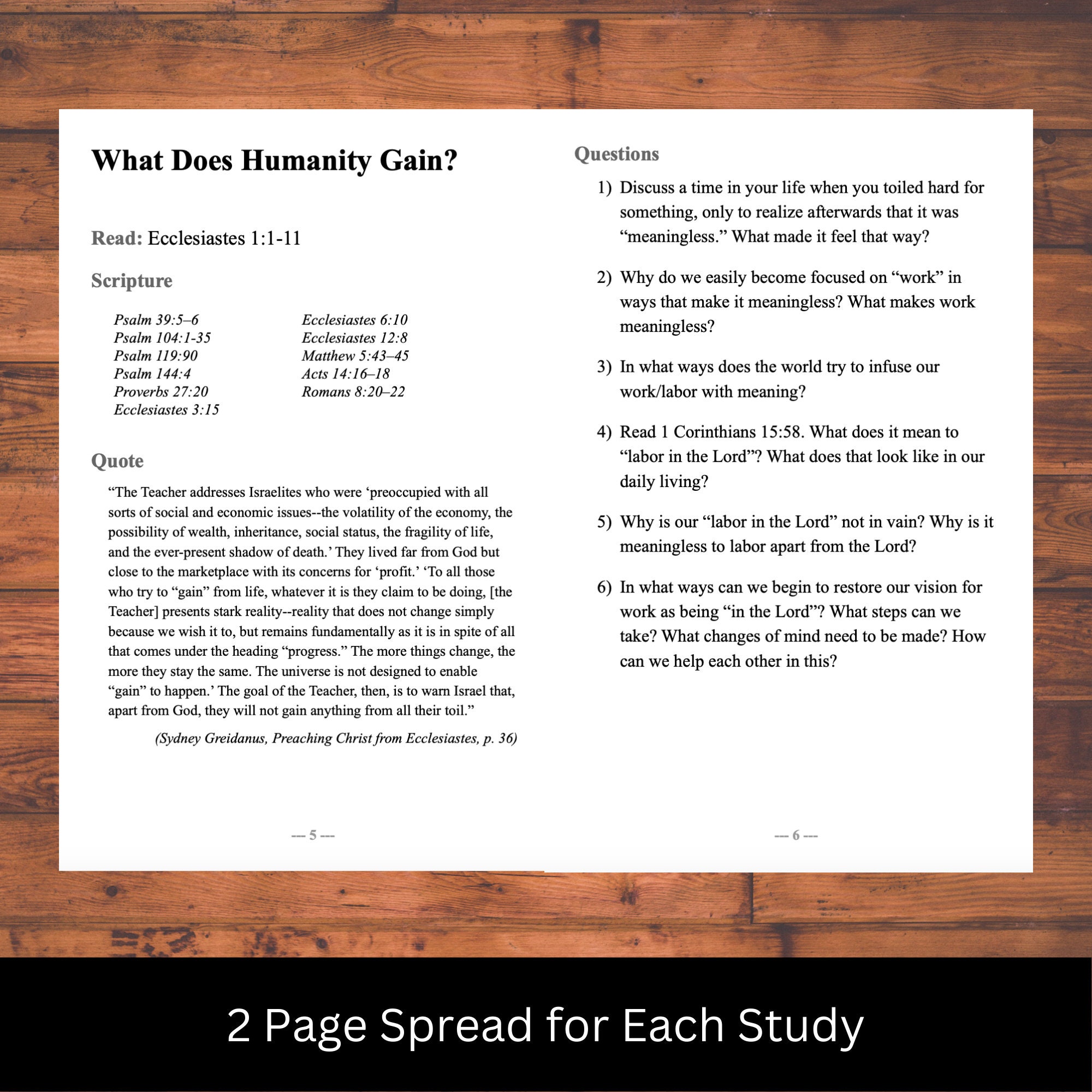 Discovering the Meaning of Life: A Journey Through Ecclesiastes - Etsy