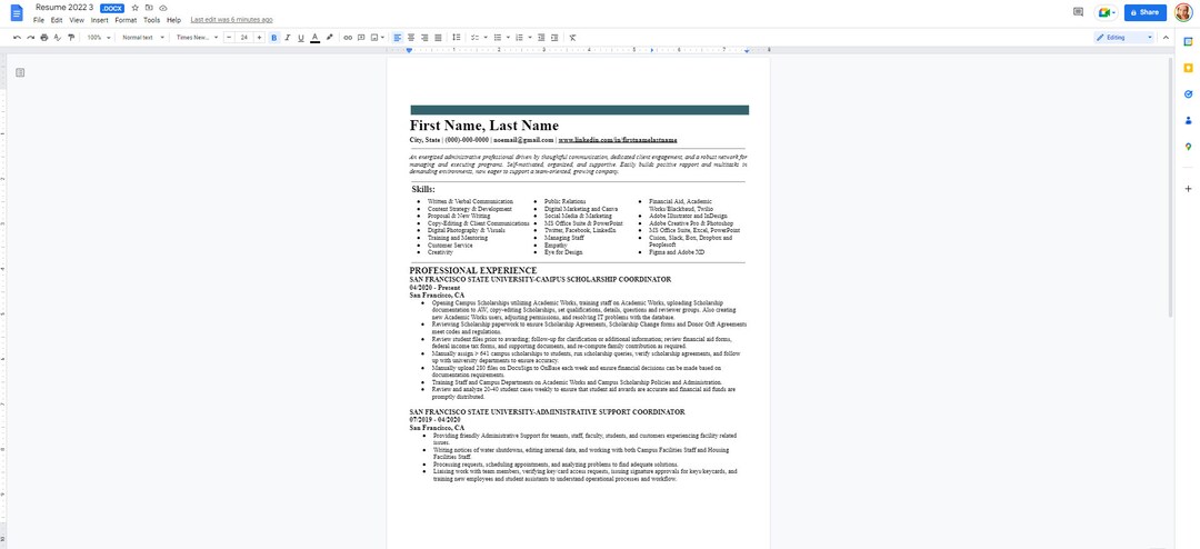 Resume Template CV Template Professional Resume Template - Etsy Denmark