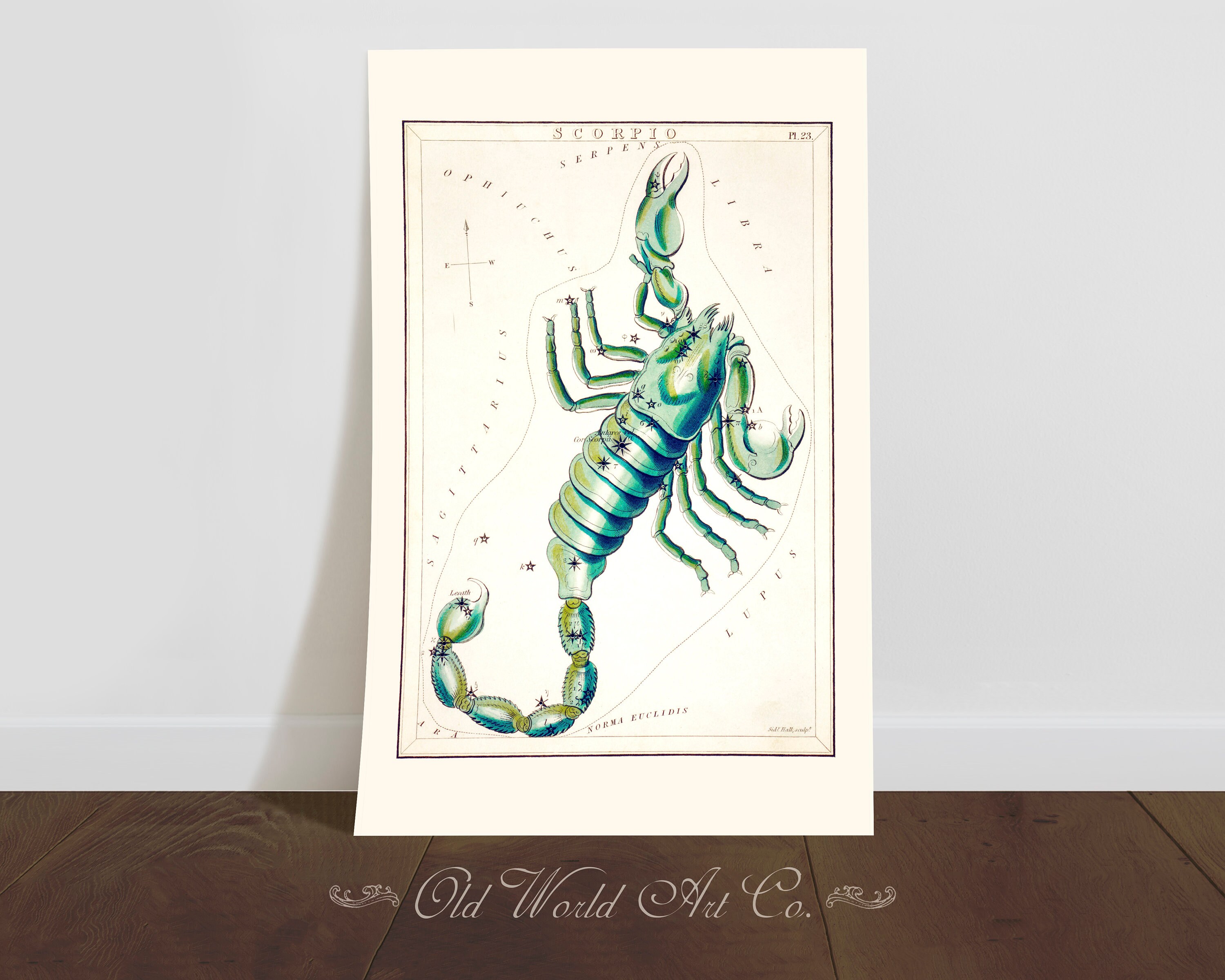 Vintage Scorpio Star Map, Scorpio Wall Art, Vintage Astrology Decor ...