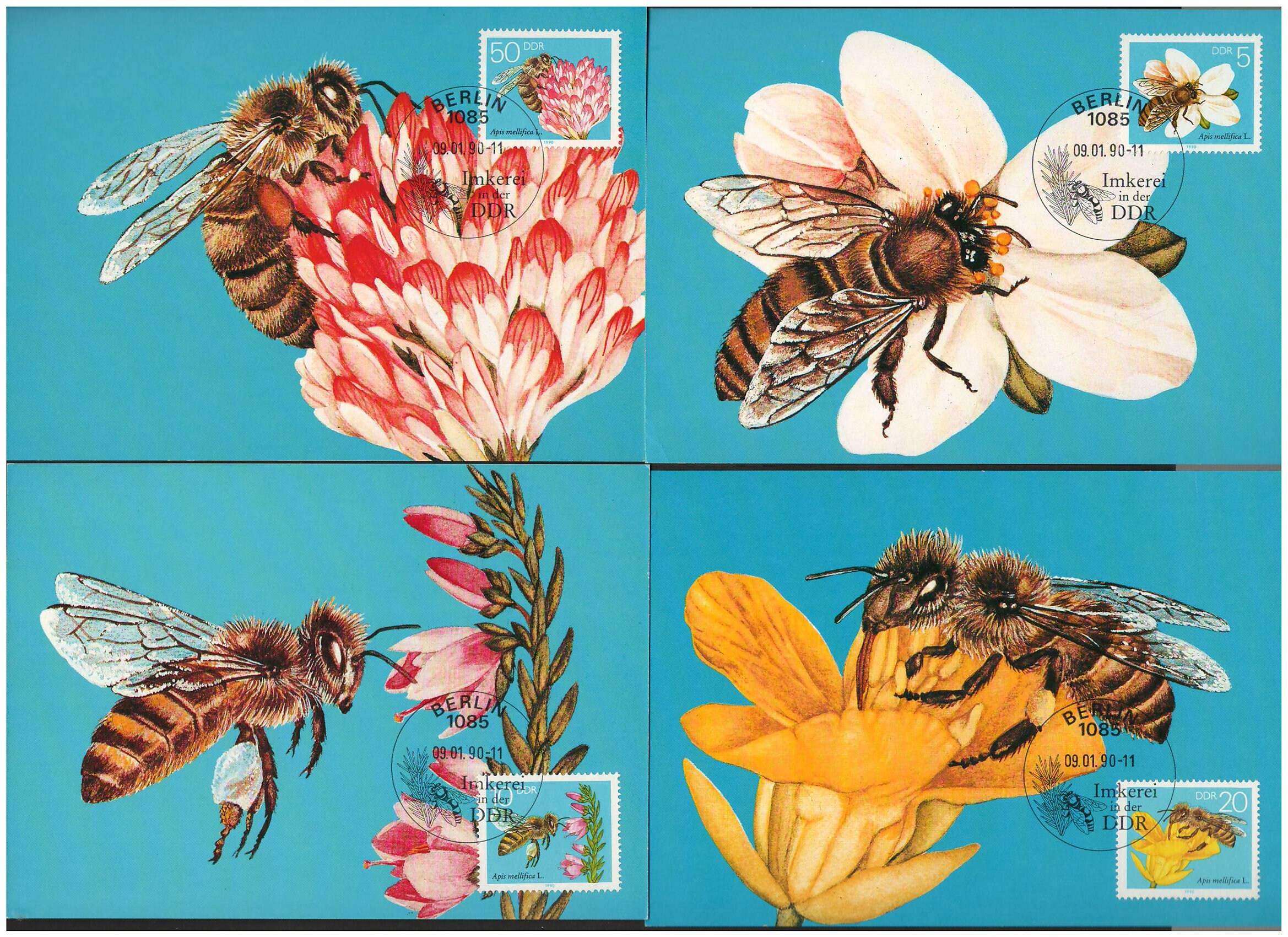 Set of 4 X MC Maxi Cards POSTCARDS Germany DDR 1990 - Etsy