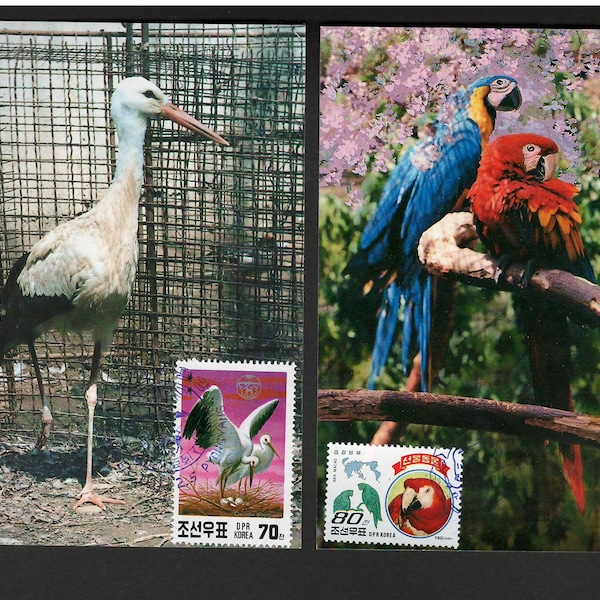 Maxi Card Postcard - Etsy