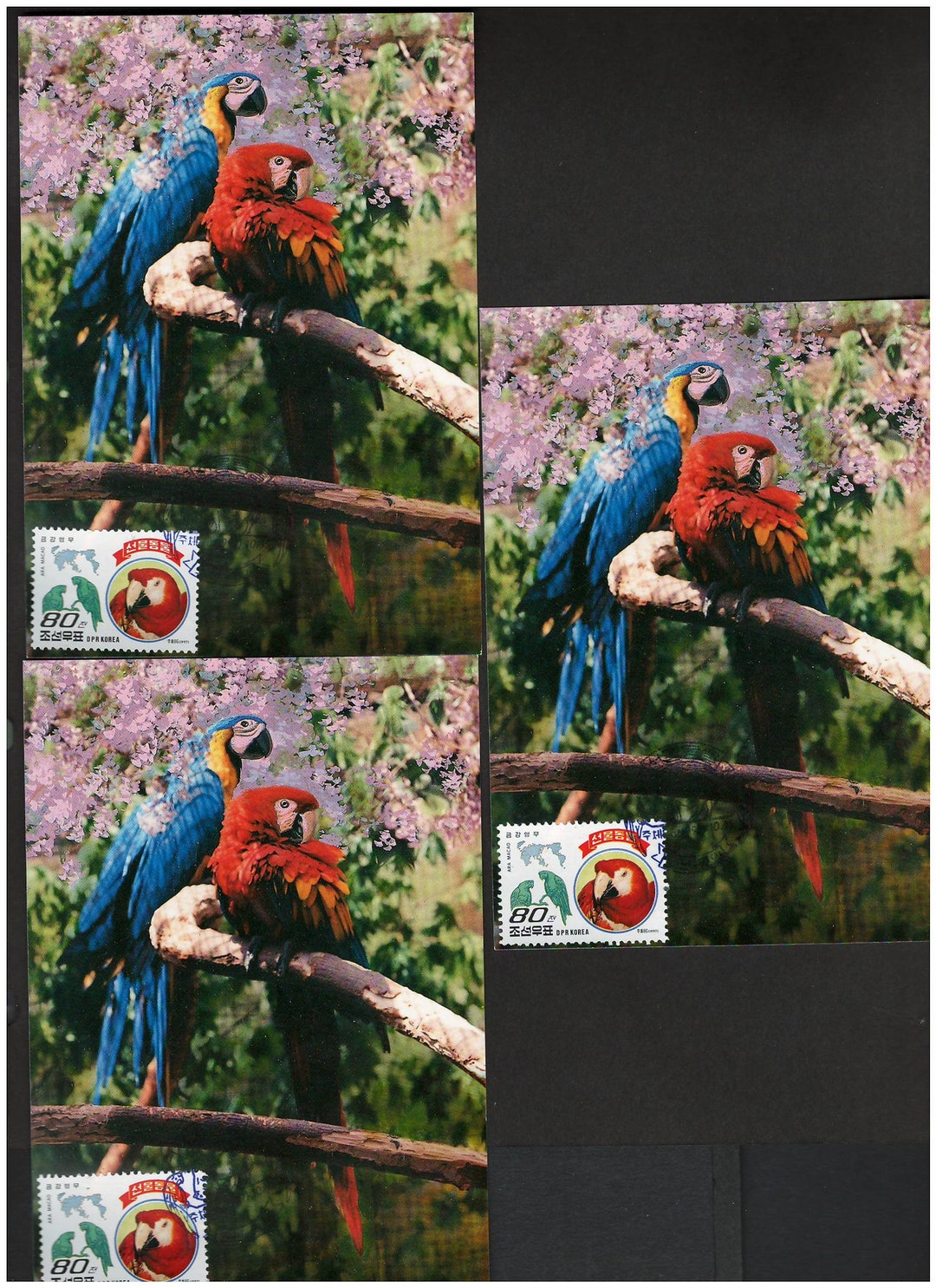 RARE - 3 X POSTCARDS - K - 1997, MC, Maxi Cards, (3 Identical) Post ...