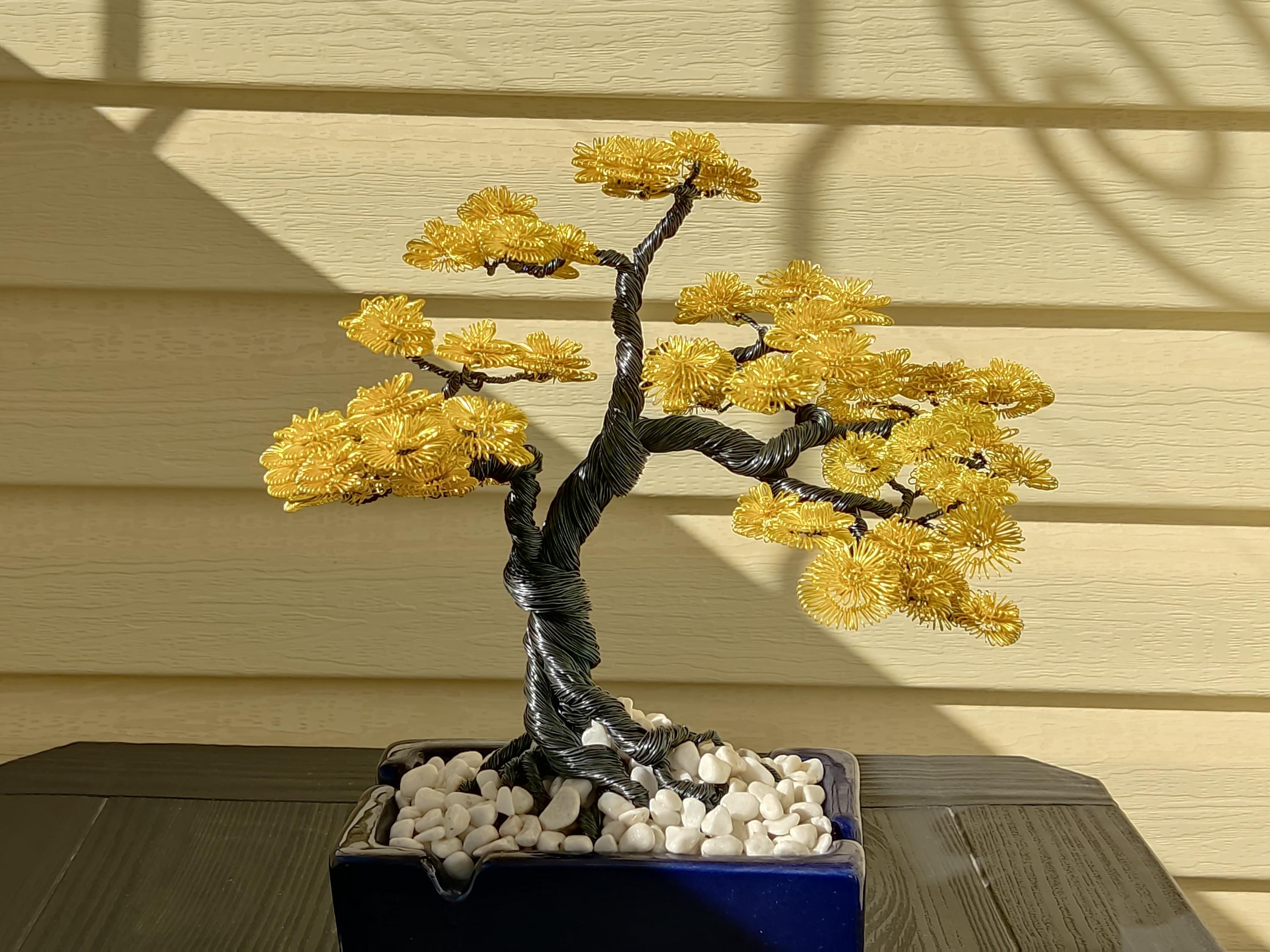 Wire Art - Japanese Yellow Maple BONSAI Tree Sculpture, ''SOKAN ...